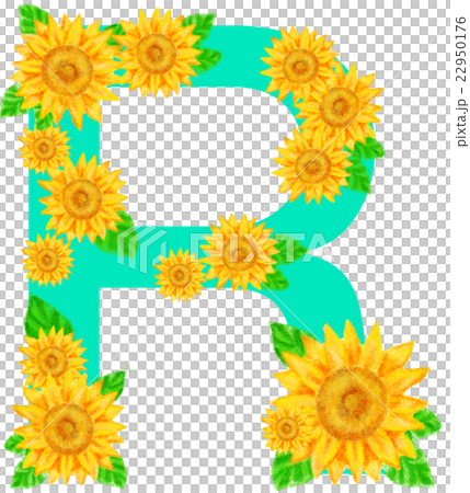 Sunflower _ Alphabet _ R - Stock Illustration [22950176] - PIXTA