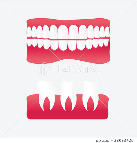 Vector cartoon false teethのイラスト素材 [23033426] - PIXTA
