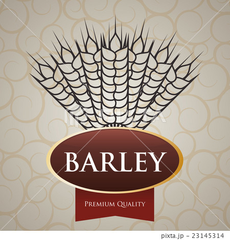 Barley designのイラスト素材 [23145314] - PIXTA
