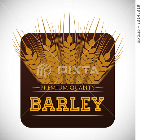 Barley designのイラスト素材 [23145319] - PIXTA