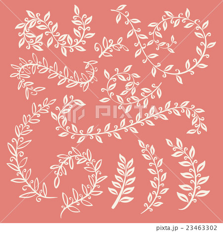 Set of leaves vector on pink background design のイラスト素材 [23463302] - PIXTA