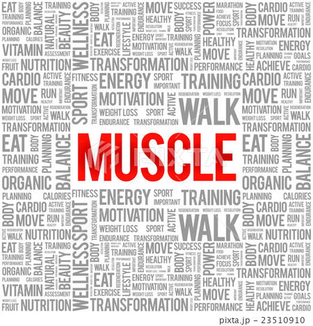 MUSCLE word cloud backgroundのイラスト素材 [23510910] - PIXTA