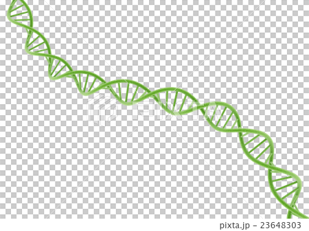 Green DNA - Stock Illustration [23648303] - PIXTA