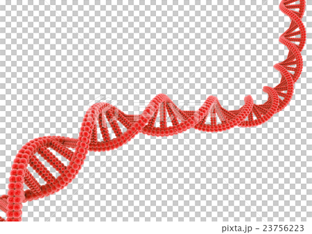 Red DNA - Stock Illustration [23756223] - PIXTA