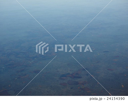 Leaves underwaterの写真素材 [24154390] - PIXTA