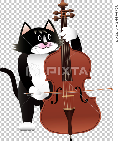 Cat playing bass _k01 - Stock Illustration [24444756] - PIXTA