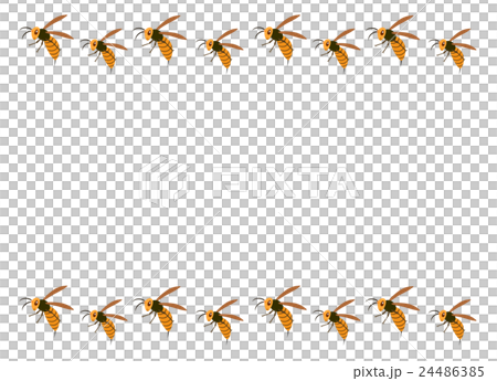 Wasp frame - Stock Illustration [24486385] - PIXTA