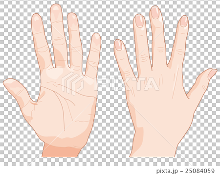 Illustration of a hand - Stock Illustration [25084059] - PIXTA