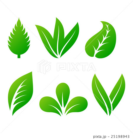 Leaf icon vector illustration.のイラスト素材 [25198943] - PIXTA