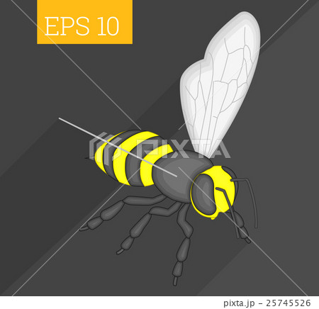 bee isometric vector illustrationのイラスト素材 [25745526] - PIXTA