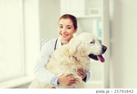 happy doctor with retriever dog at vet clinicの写真素材 [25791642] - PIXTA