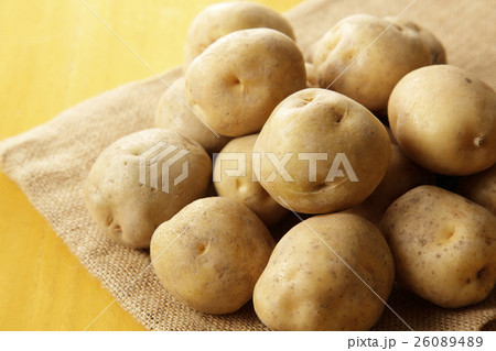 じゃがいも 馬鈴薯の写真素材 [26089489] - PIXTA