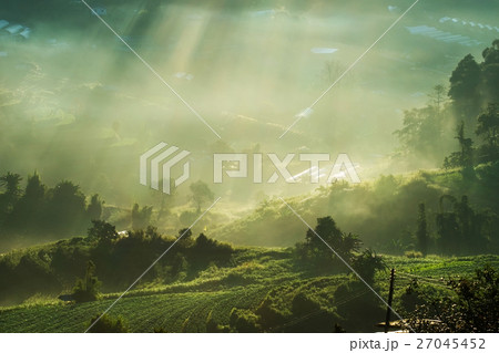 rays of the sun breaking through the fogの写真素材 [27045452] - PIXTA