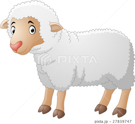 Cute sheep cartoonのイラスト素材 [27839747] - PIXTA
