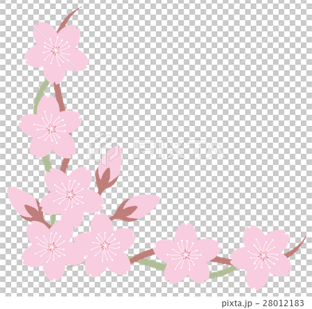Sakura Sakura Frame - Stock Illustration [28012183] - PIXTA