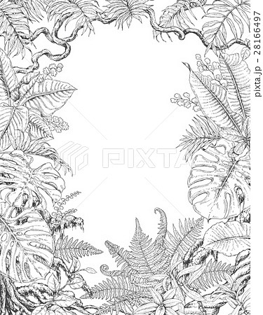 Rainforest Page Border Black And White