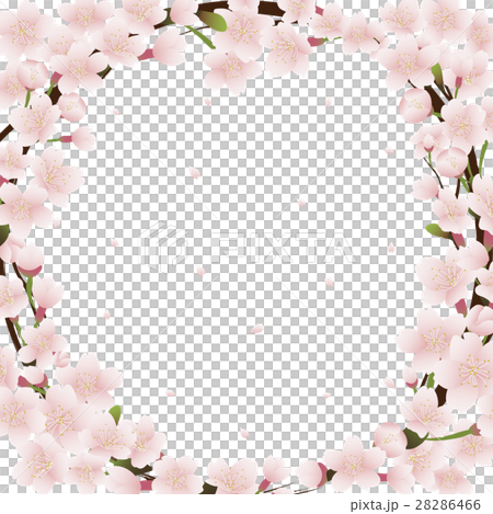 Cherry frame material - Stock Illustration [28286466] - PIXTA