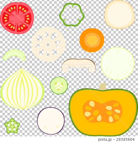 Cross section of various vegetables - Stock Illustration [28385604] - PIXTA