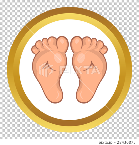 Baby legs vector icon, cartoon style - Stock Illustration [28436873 ...