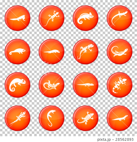 Lizard icons vector set - Stock Illustration [28562893] - PIXTA