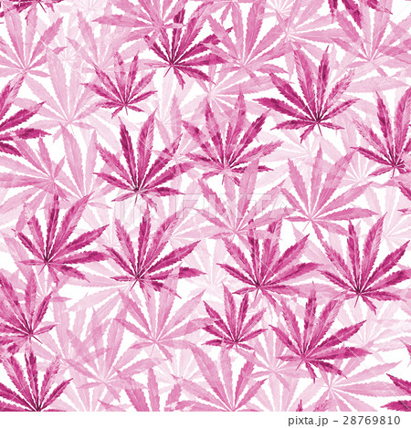 Pink Weed Backgrounds A Cigarette On Pink Surface With Hemp Leaves