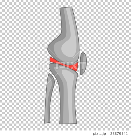Total knee replacement surgery icon, cartoon style - Stock Illustration ...