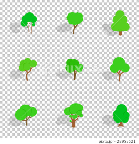 Summer tree icons, isometric 3d style - Stock Illustration [28955521 ...