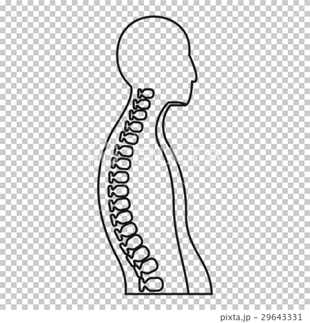 Human spine icon, outline style - Stock Illustration [29643331] - PIXTA