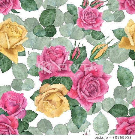 Roses 3. Seamless floral pattern. のイラスト素材 [30569953] - PIXTA