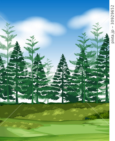 Pine Tree Forest Clip Art