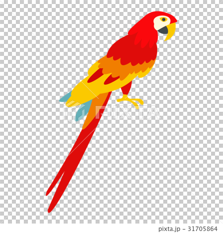 Scarlet macaws icon isolated-插圖素材 [31705864] - PIXTA圖庫