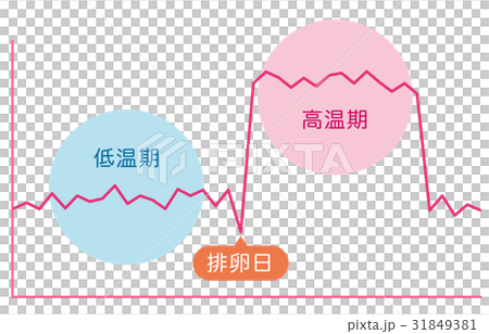 Basal body temperature image basic temperature... - Stock Illustration ...