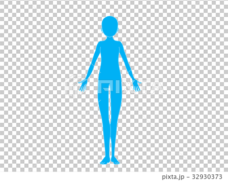 Human body (blue) - Stock Illustration [32930373] - PIXTA