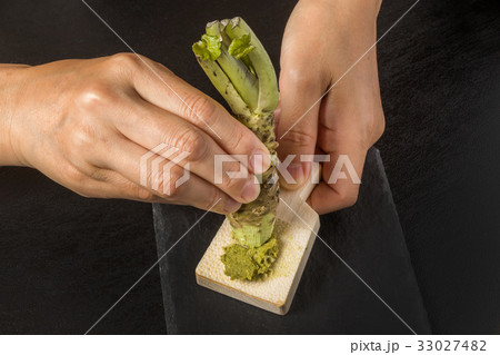 天然本わさび Japanese spice natural wasabiの写真素材 [33027482] - PIXTA