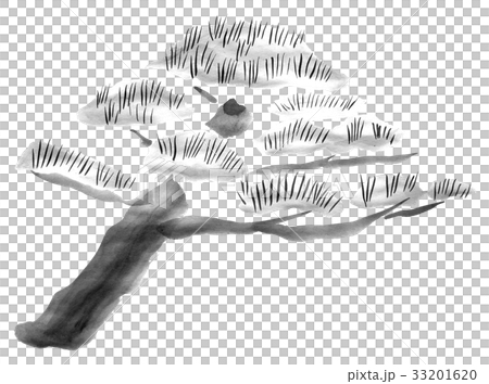 Pine ink painting - Stock Illustration [33201620] - PIXTA
