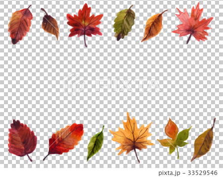 Fallen Leaf Frame - Stock Illustration [33529546] - PIXTA