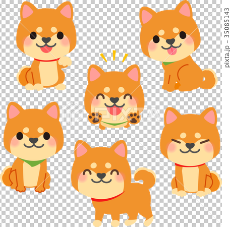 Set of various poses of Shiba Inu - Stock Illustration [35085143] - PIXTA