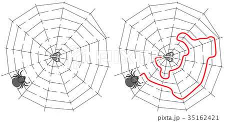 Easy spider mazeのイラスト素材 [35162421] - PIXTA