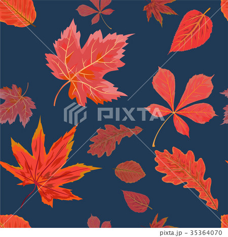 Vector Seamless Autumn patten background floralのイラスト素材 [35364070] - PIXTA