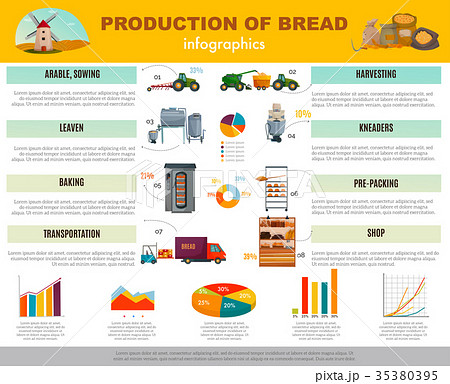 Bread Production Infographicsのイラスト素材 [35380395] - PIXTA