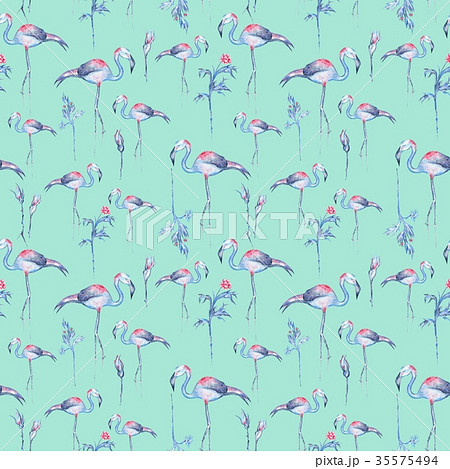 Turquoise Flamingo Patternのイラスト素材 [35575494] - PIXTA