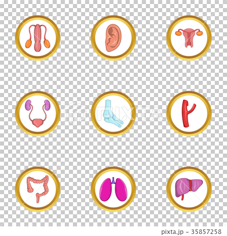Human system icon set, cartoon style - Stock Illustration [35857258 ...