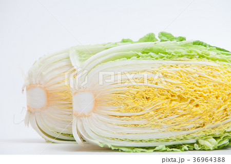 Inside of fresh cabbage white backgroundの写真素材 [36964388] - PIXTA