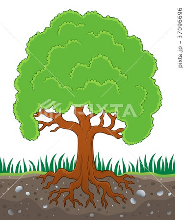 Cartoon Tree With Roots Root System Of Tree. Nature And Forest. Layer