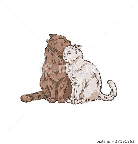 Cats Cuddling Drawing How To Draw 2 Cats Together, Cuddle Hug Love