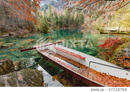 Red leaves and red boat at Blausee Switzerland.の写真素材 [37228769] - PIXTA