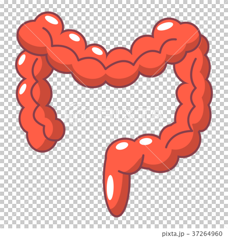 Cartoon Large Intestine