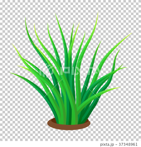 Grass icon, realistic style - Stock Illustration [37348961] - PIXTA