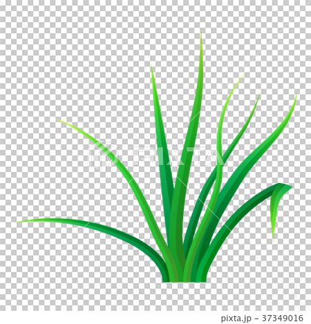 Small bunch grass icon, realistic style - Stock Illustration [37349016 ...
