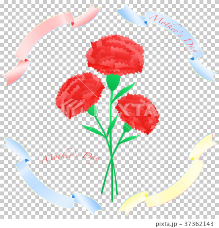 Carnation flower and colorful ribbon parts - Stock Illustration ...